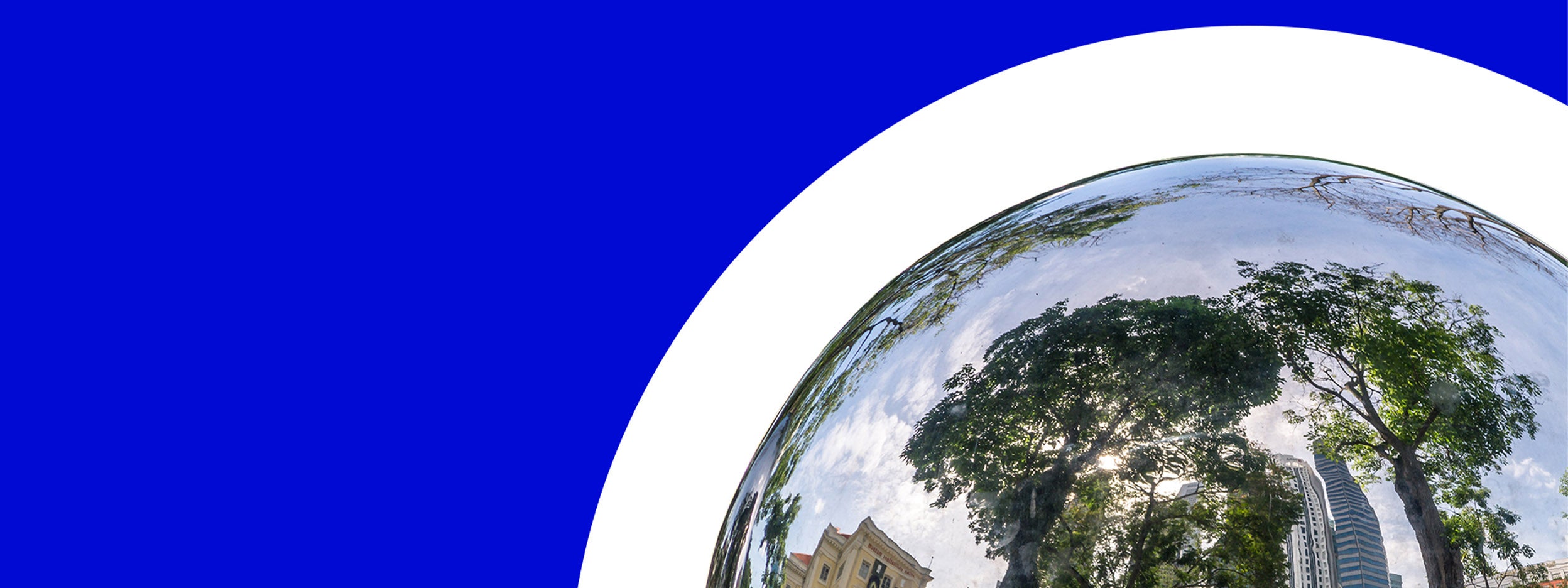 Invesco Global Sovereign Asset Management Study 2021