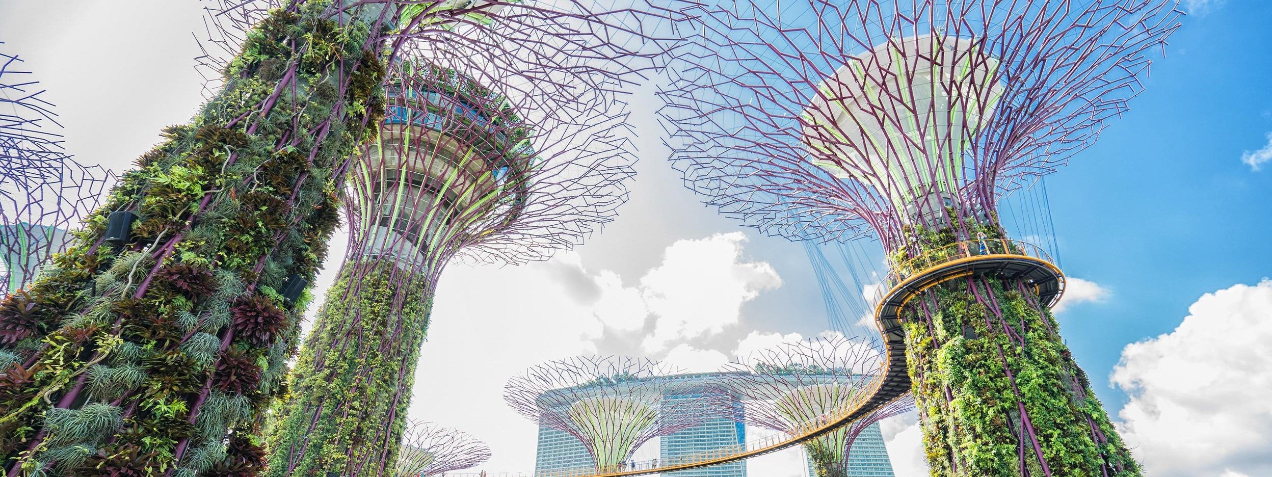 Invesco Insurance Insights