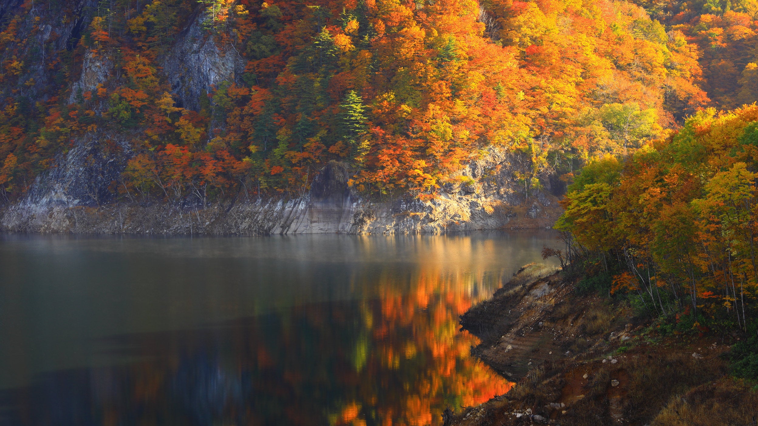 Monthly Market Roundup | Invesco UK