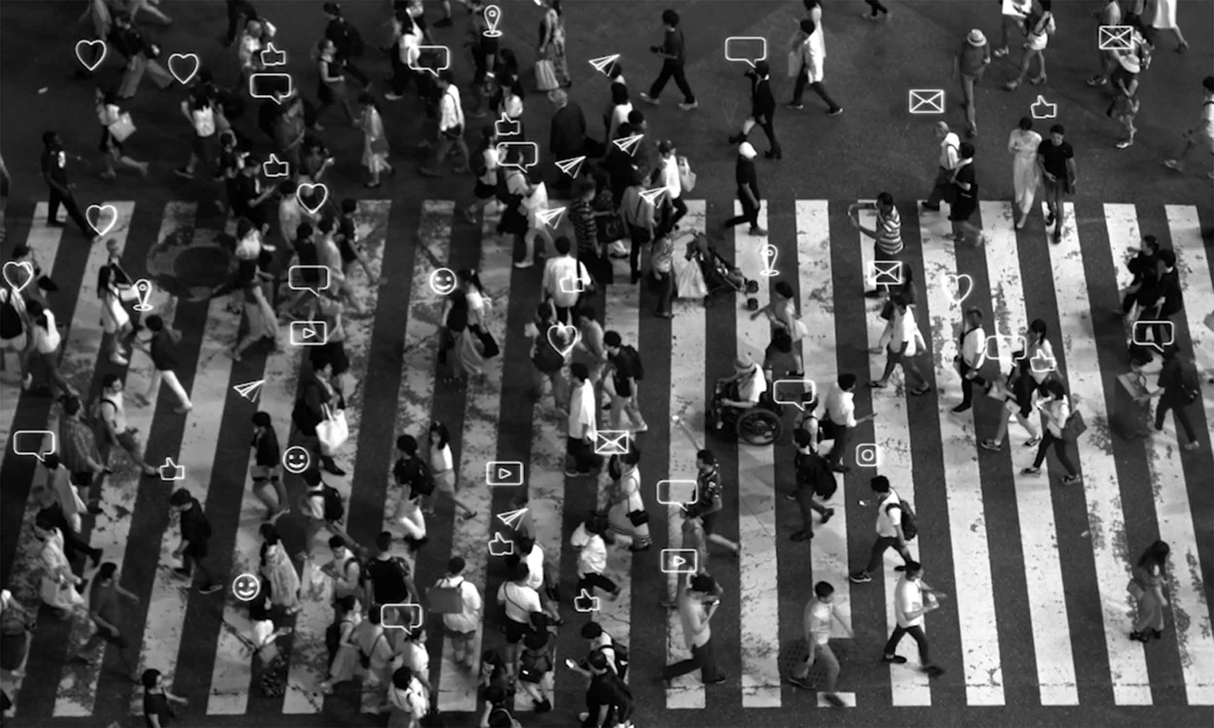 About QQQ - Holdings and Sector Allocations - Invesco QQQ