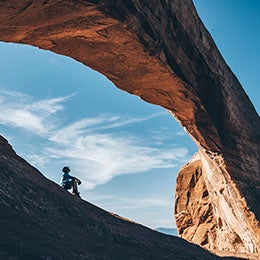 Why consider investing in large-cap growth stocks | Invesco US