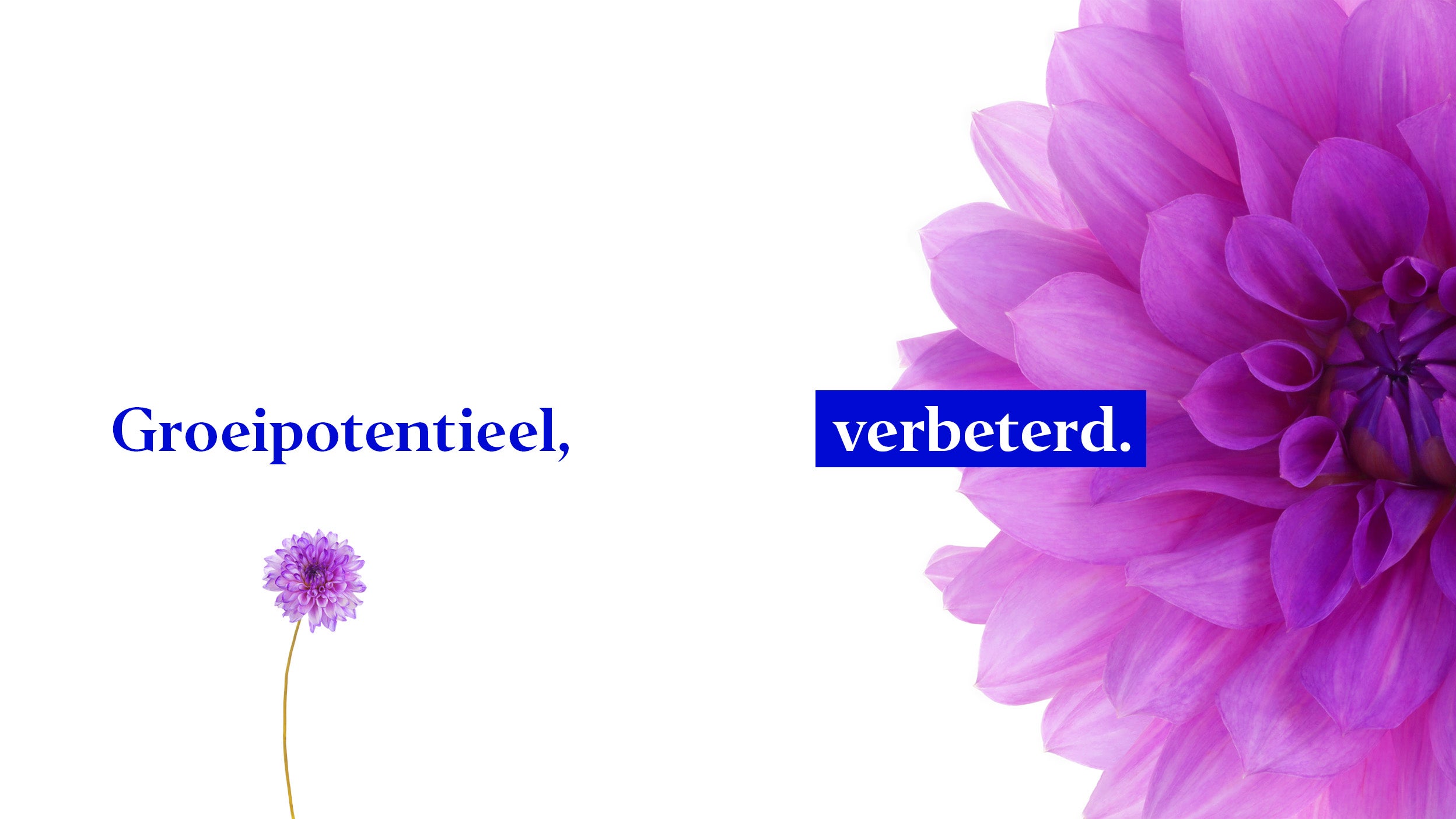 Mogelijkheden | Invesco Nederland