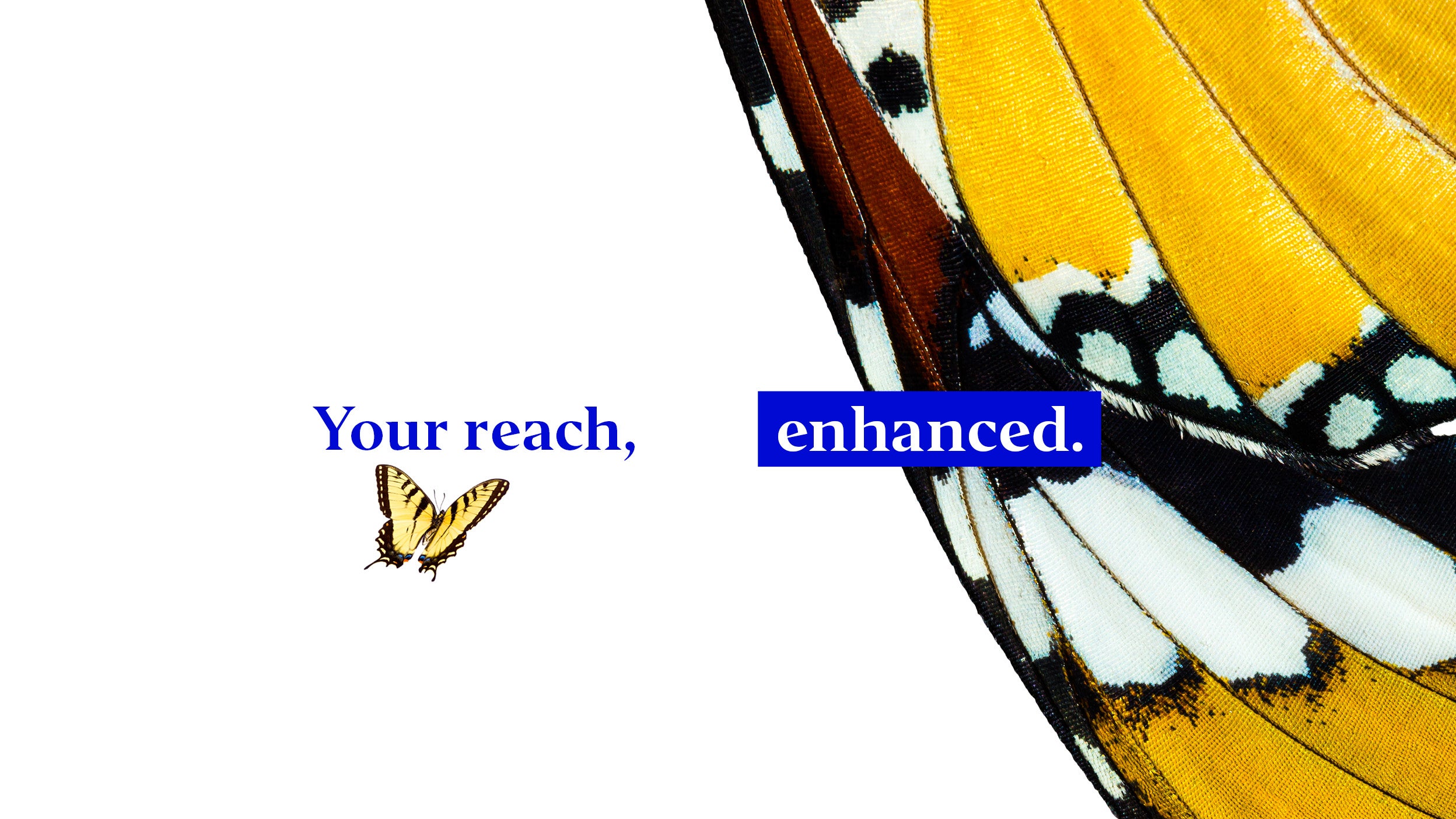 Asset Management Luxembourg | Investment Management | Invesco Luxembourg