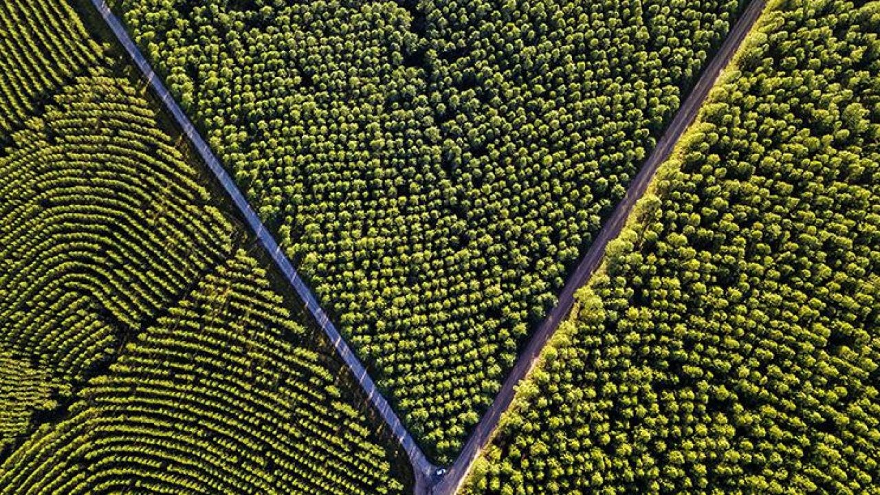 ETF Investments | Exchange Traded Funds | Invesco UK