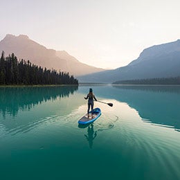 Campaign - Fixed Income - Update | Invesco US