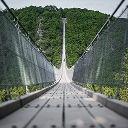 What the narrow market means | Invesco US