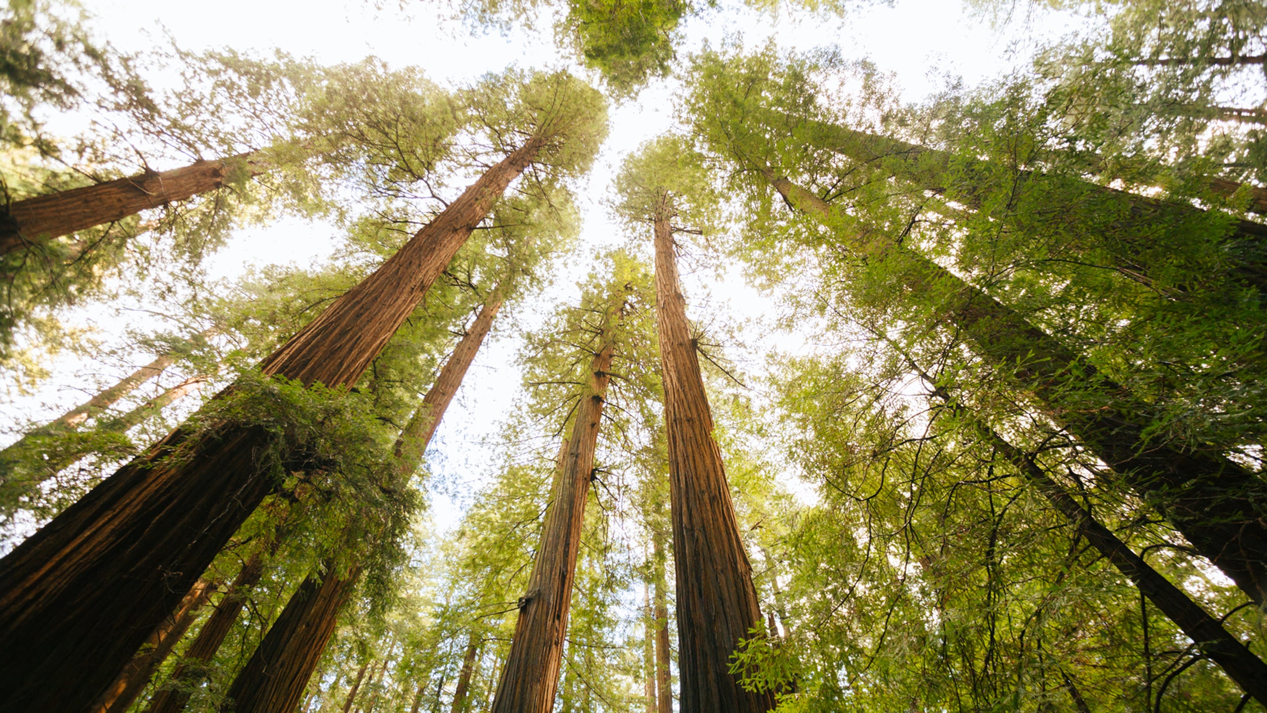 BulletShares Maturity: A look at the last year | Invesco US